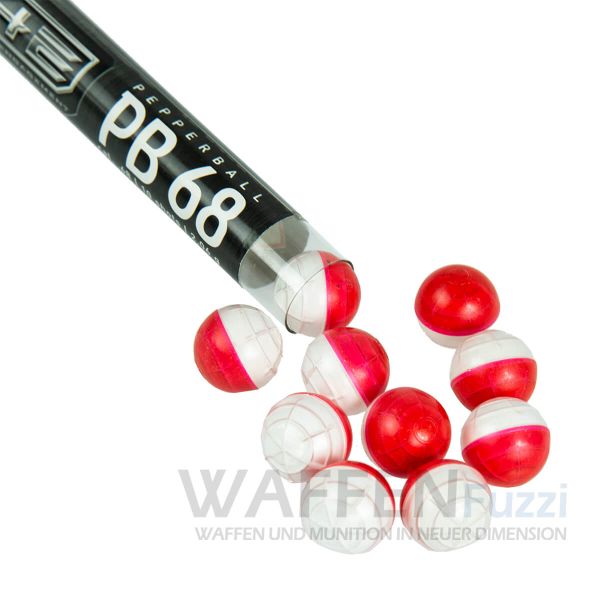 Neuartige Pumpgun Kaliber .68 RAM Home Defense